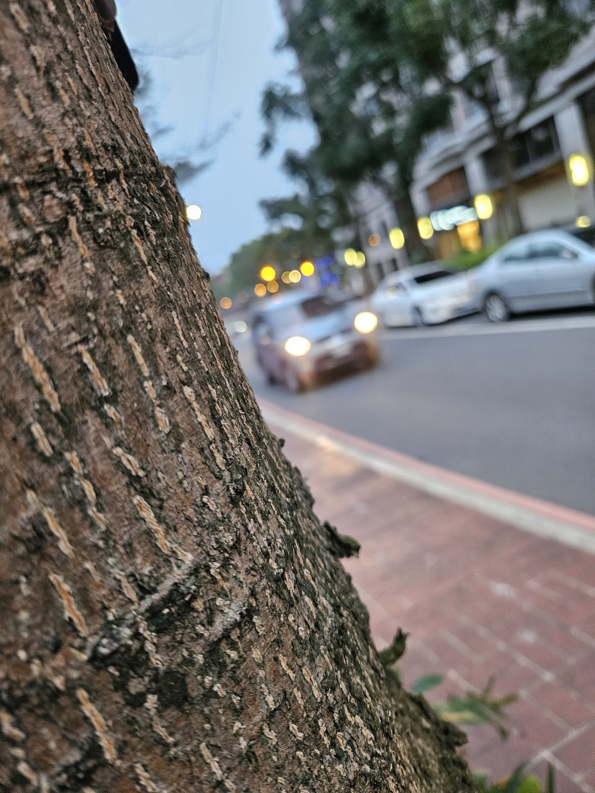 Spoon | DJ 終究還是蘇蘇 的頻道